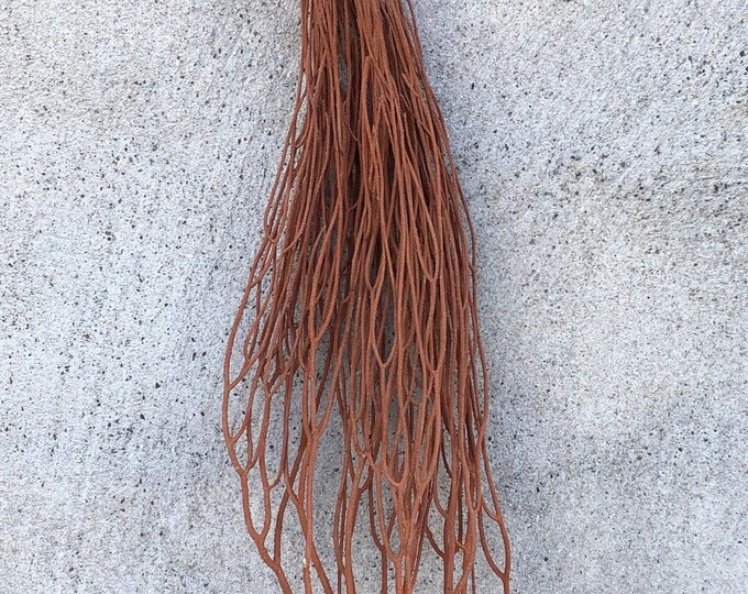 5 Twigs of Real Purple Scarlet Plumb Sea Grass From the Gulf of Mexico ...