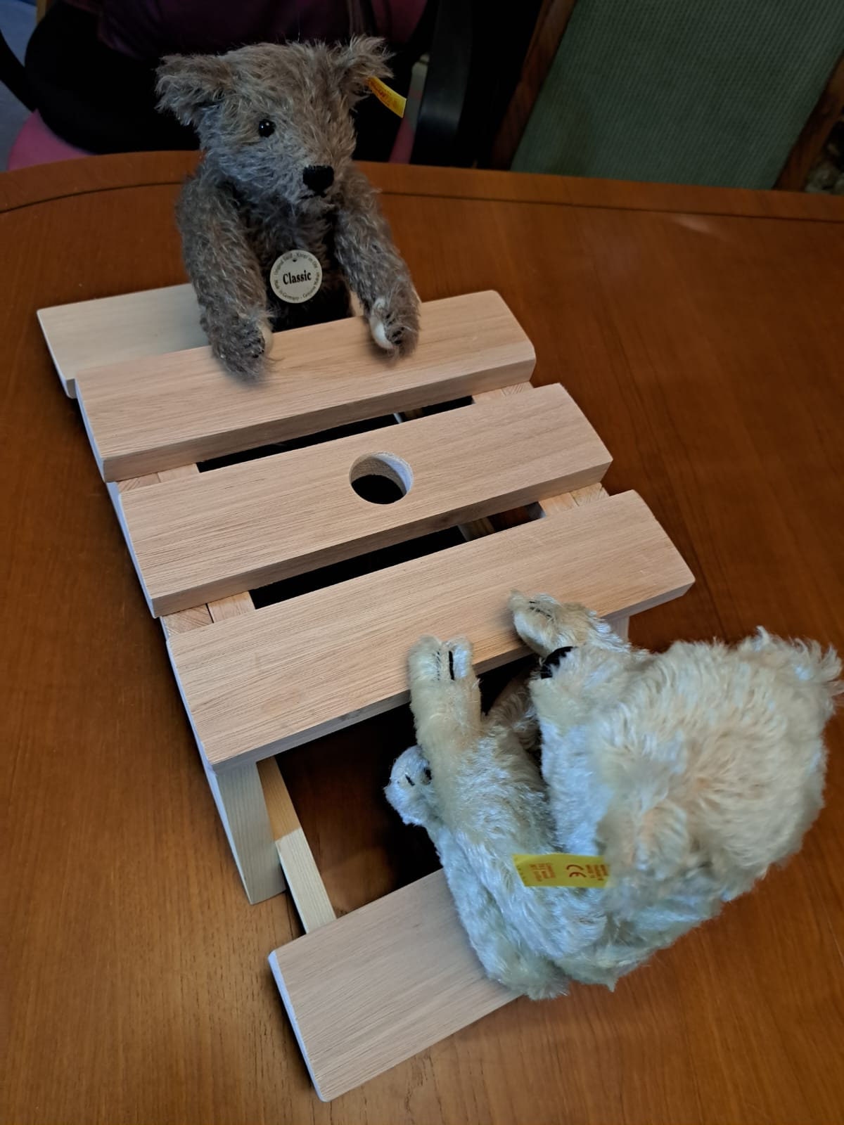 Teddy Bear Picnic Table - Etsy