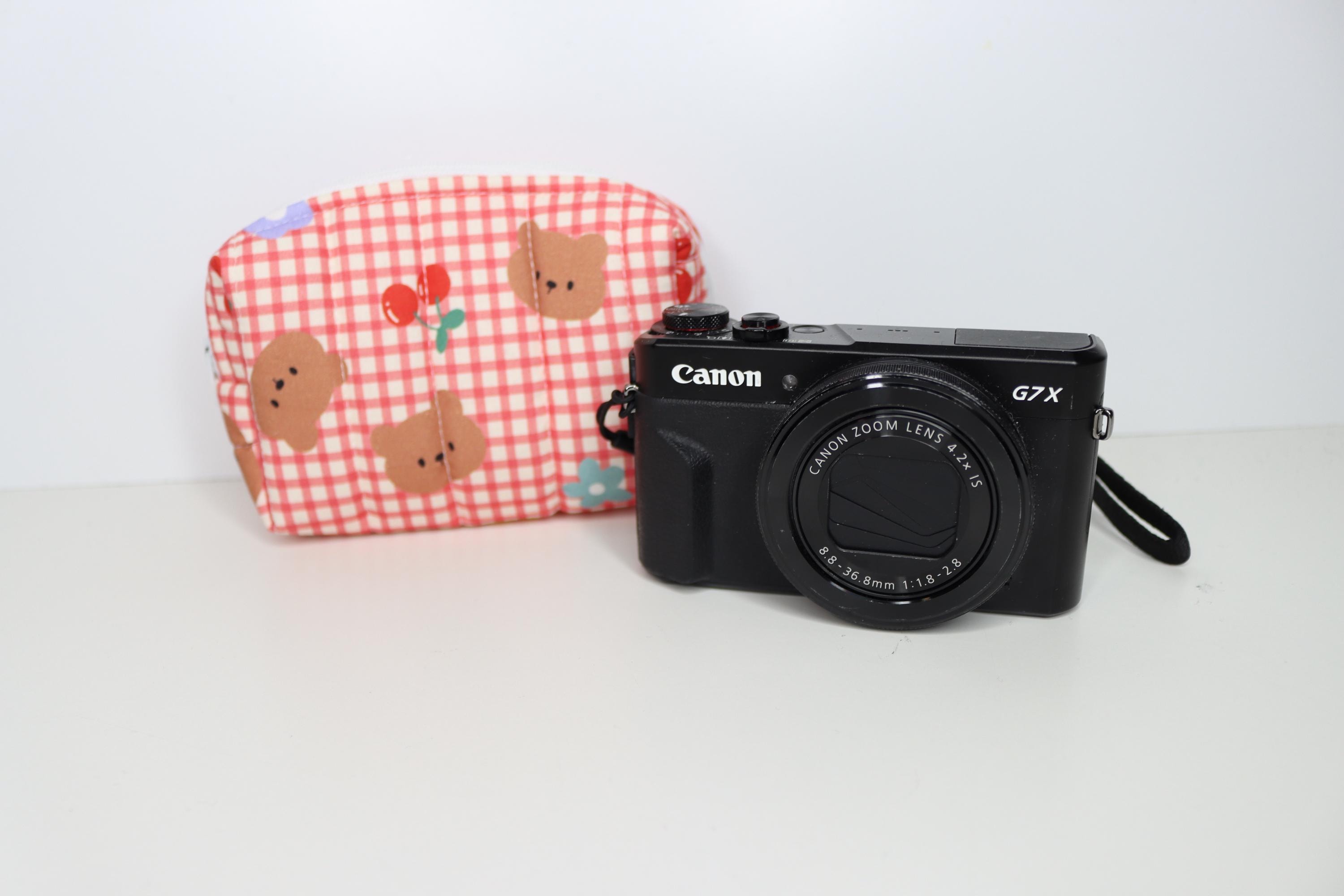 Padded Camera Pouch – Protective Case & Everyday Organizer - Etsy