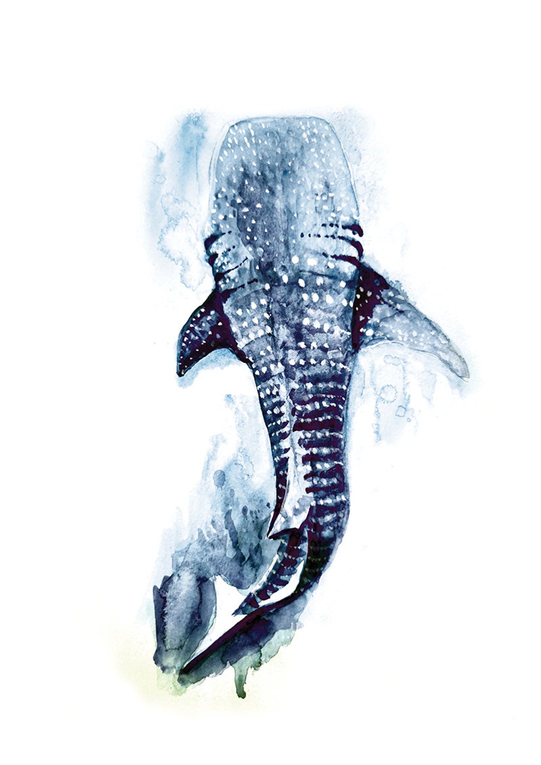 Whale Shark. Art, Animal, Illustration, Sea Art, Sea Life Art, Home ...