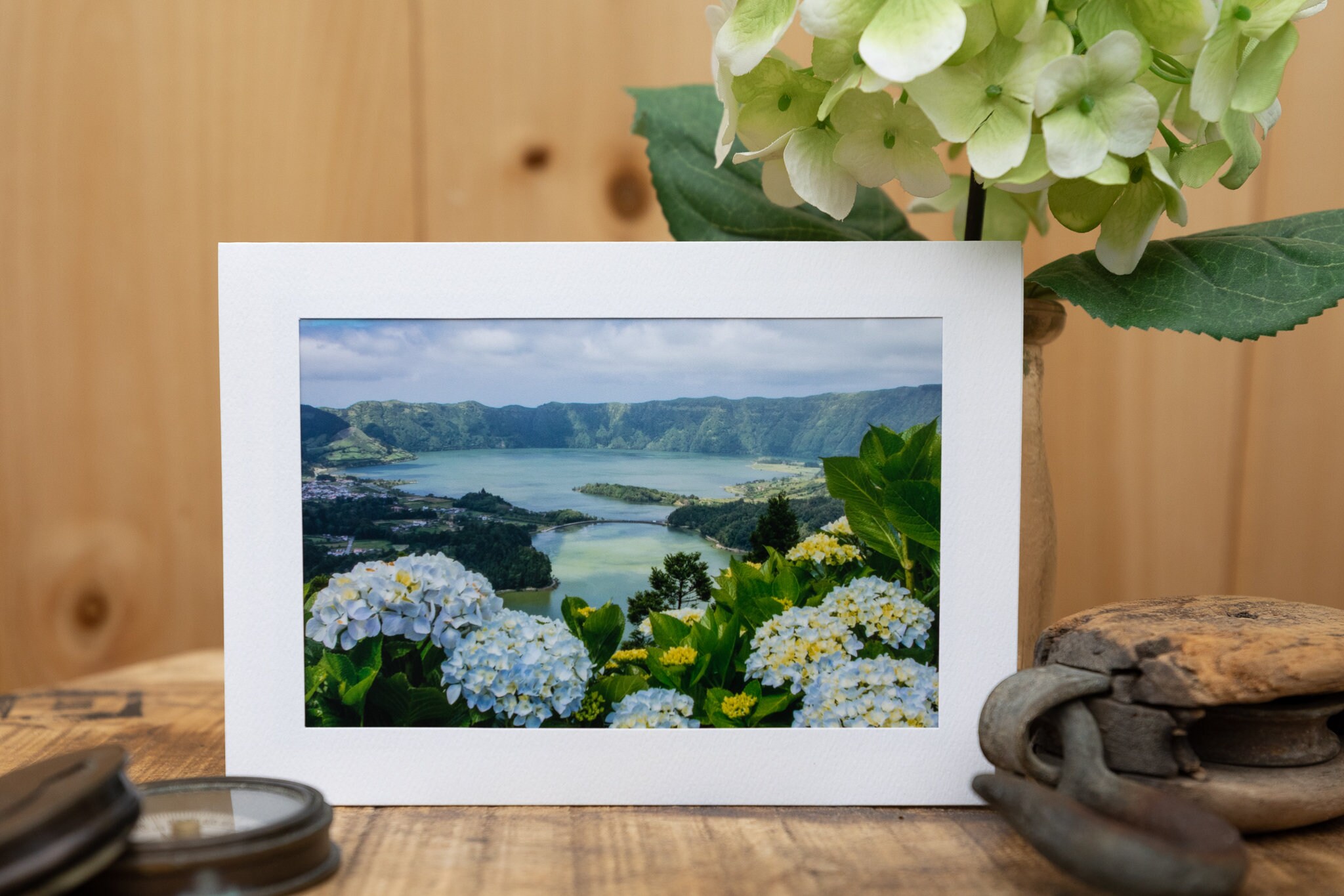 Hydrangeas Overlooking Sete Cidades. Sao Miguel, Azores, Portugal Photo ...