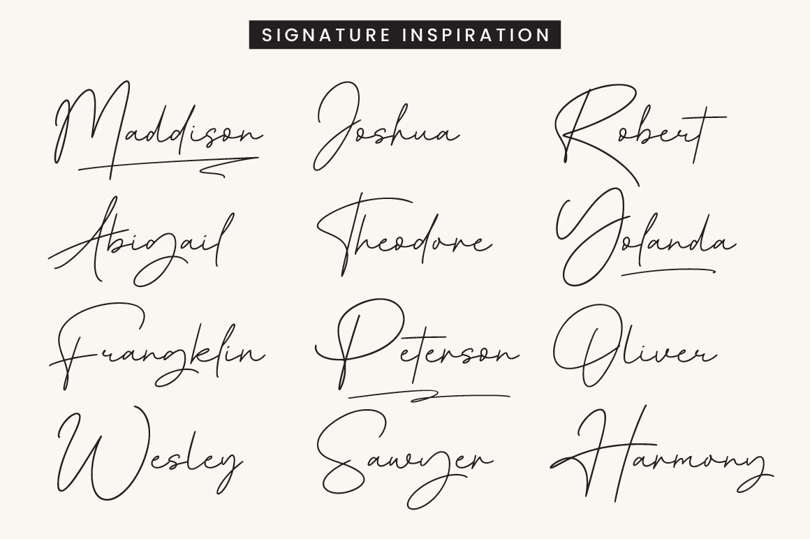 Bridger Signature Script Font: Luxury Handwritten Font - Etsy