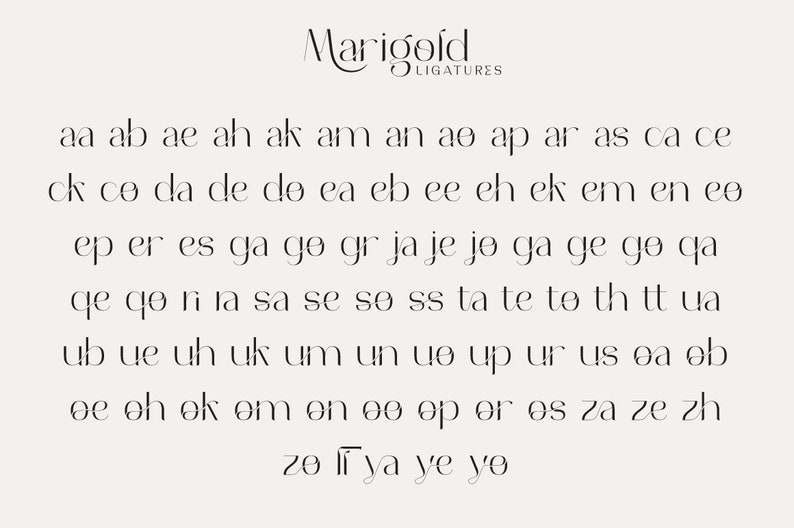 Marigold Modern Sans Serif Font With Alternates - Etsy