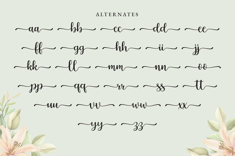 Melissa Script Font: Modern Calligraphy Font With Tails - Etsy