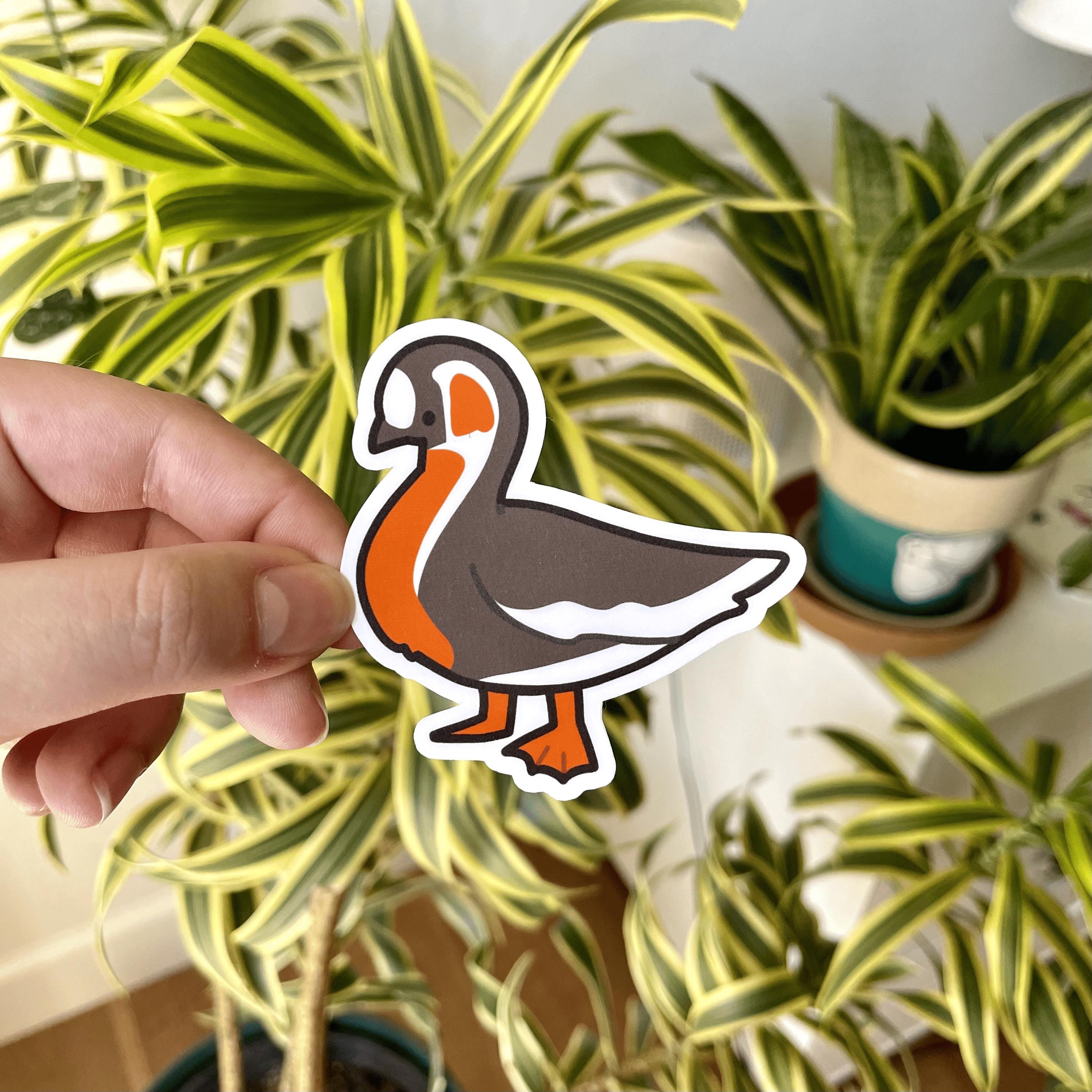 Exotic Bird Stickers | Shoebill, Toucan, Scarlet Macaw, Red-breasted ...