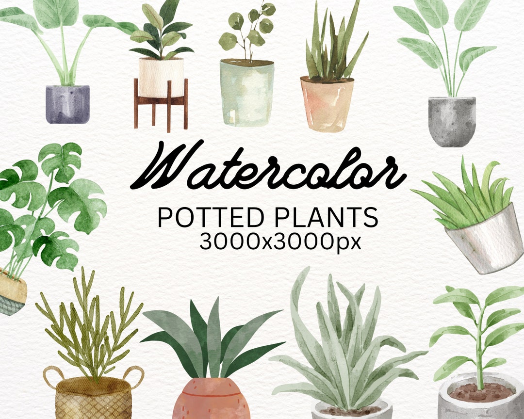 Watercolor Home Plants Clipart, Potted Plants Clipart, Cactus PNG ...