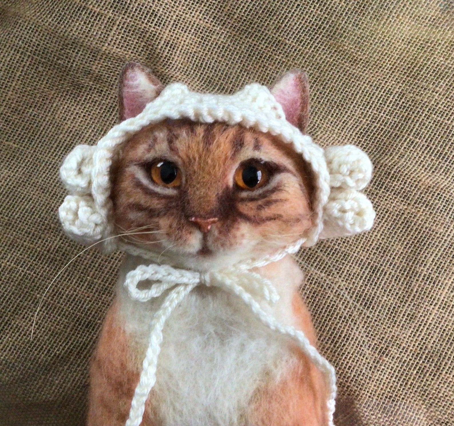 Powdered Wig Hats for Cats Barristers Wig Judge Wig Pet - Etsy