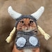 Brunhilde, Vikings, Valkyries, Wagner Opera, Hats for Cats, Pet Hats ...