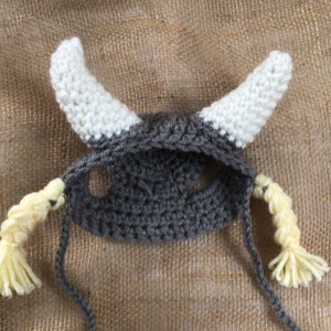 Brunhilde, Vikings, Valkyries, Wagner Opera, Hats for Cats, Pet Hats ...
