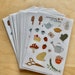 Cottage Themed Sticker Sheet - Etsy