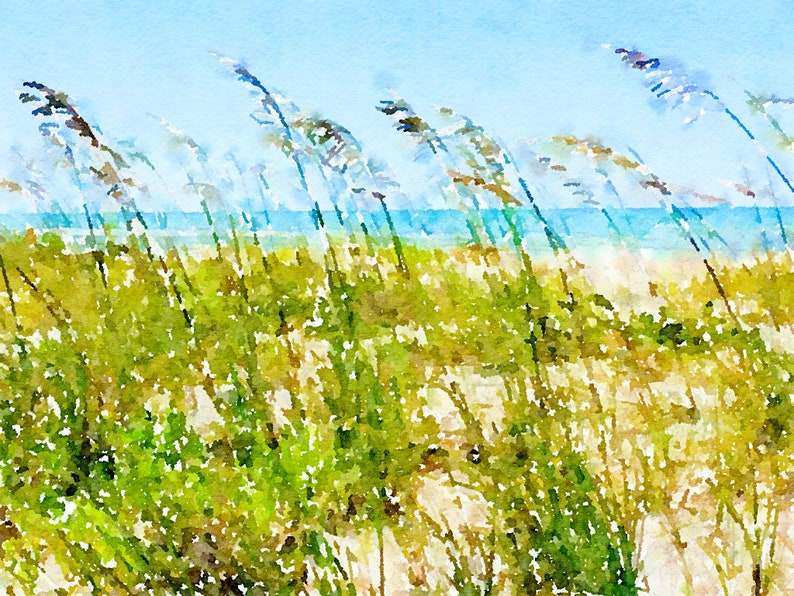 Beach Seagrass Watercolor Digital Download Print - Etsy