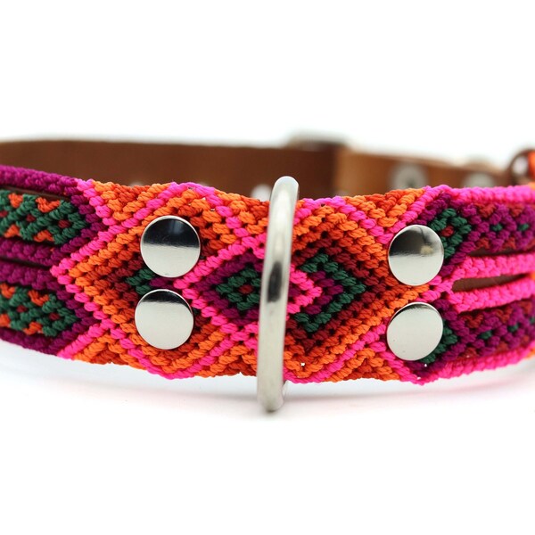 Colorful Dog Collar - Etsy