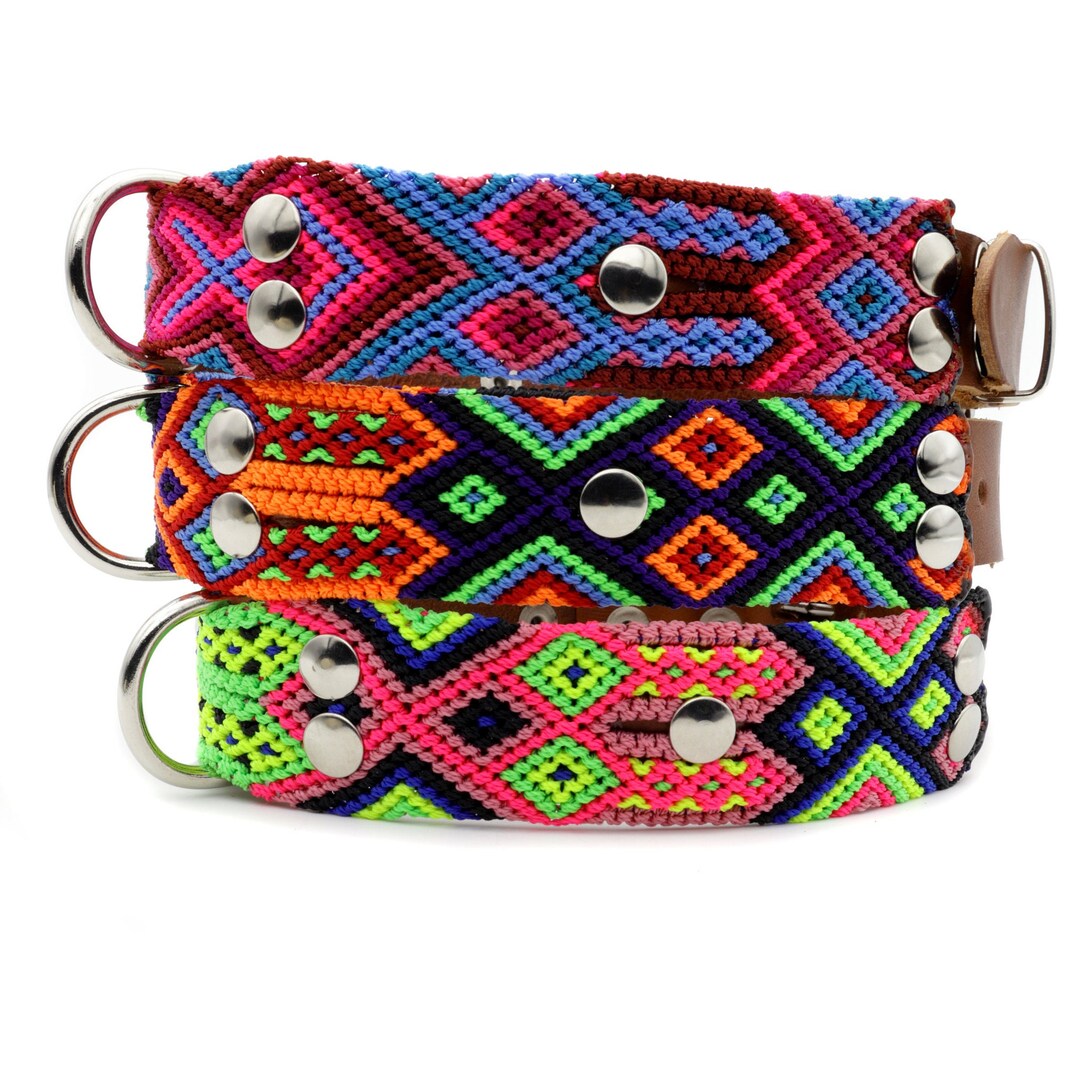 Collari per cani colorati collare per animali domestici in - Etsy Italia