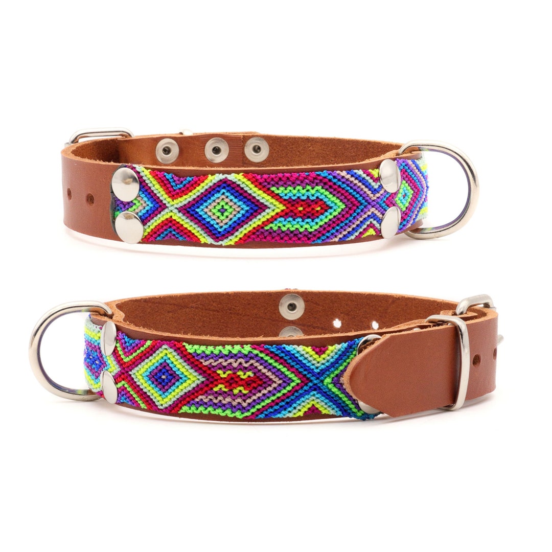 Dog Design Collars, Comfortable Collar for Beautiful Pets, Resistant ...