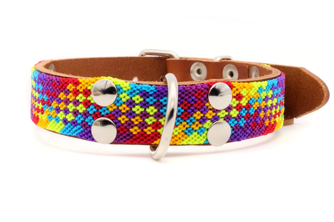 Colorful Dog Collar, Fun Dog Collar, Very Resistant Puppy Collar, High ...