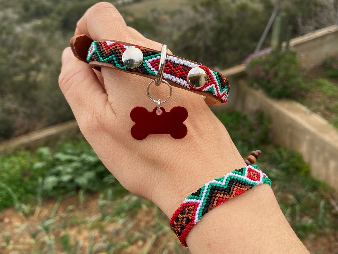 Collars for Toy Dogs, Collar for Mini Pets, Very Fine Vegetable Leather ...
