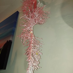 Hanging Spiral Tree Sculpture - Etsy