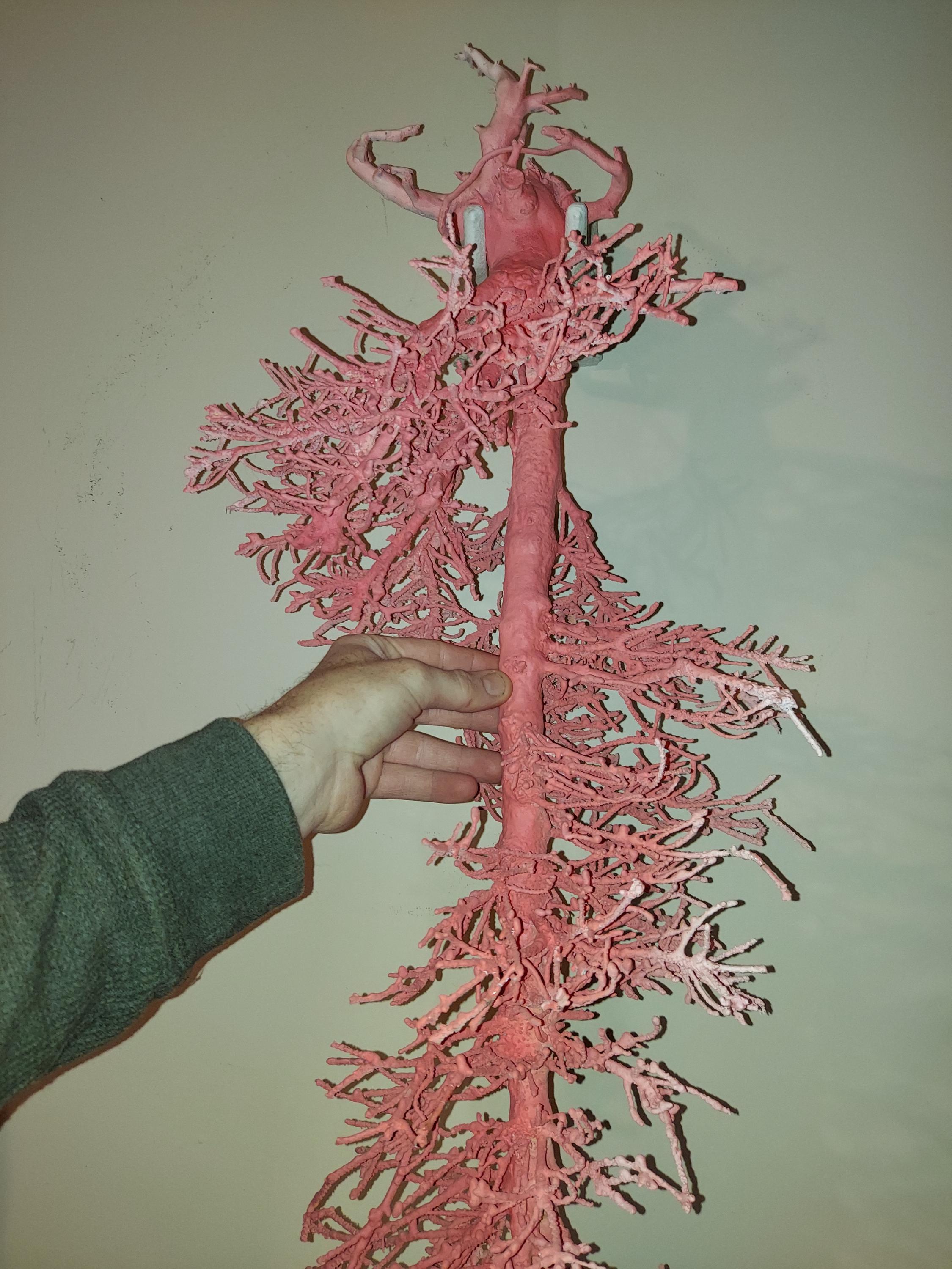 Hanging Spiral Tree Sculpture - Etsy