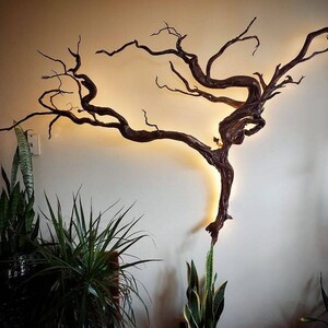 Glowing Tree Wall-art - Etsy