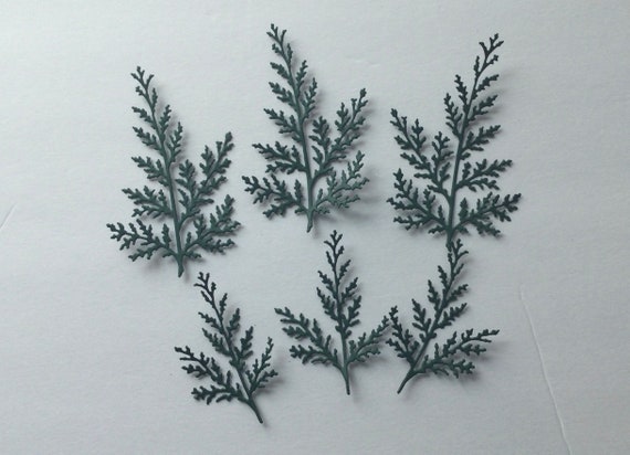 Evergreen Branches - Etsy