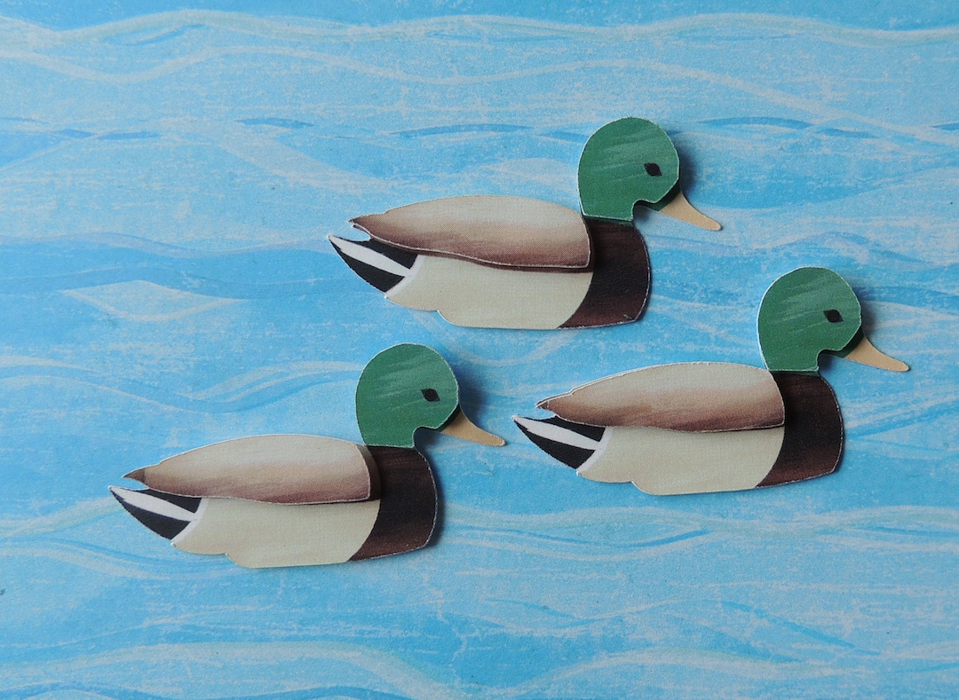12 Duck Die Cuts – Mallard Duck Cut-outs for School Projects, Baby ...