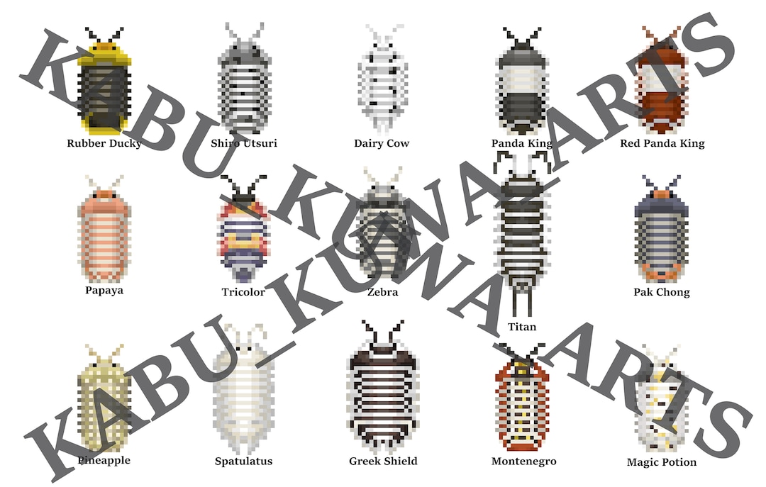 Isopod Sticker Set - Etsy