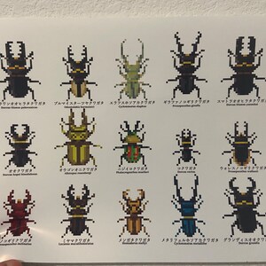 Pixel Kuwagata / Stag Beetle Sticker Set - Etsy