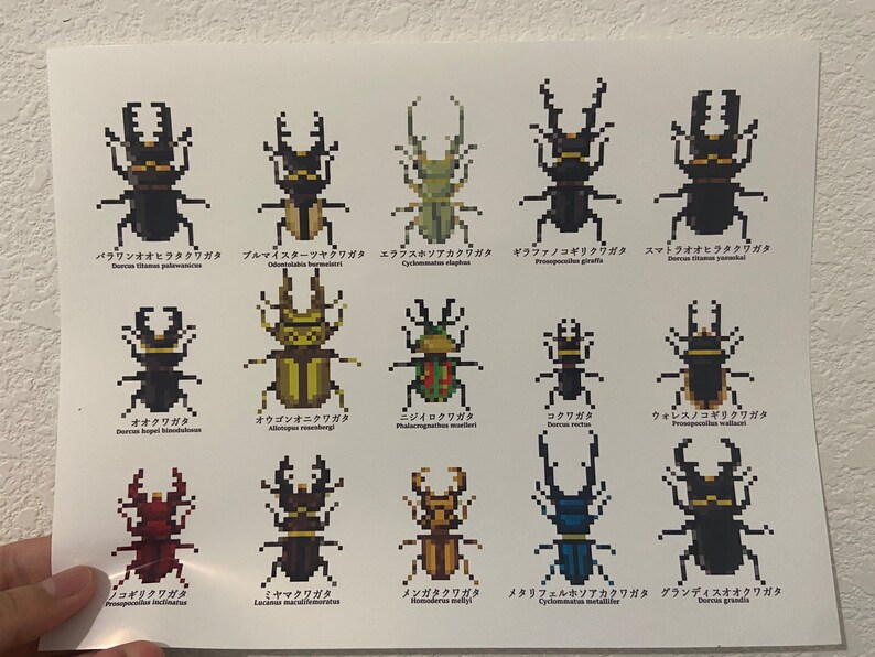 Pixel Kuwagata / Stag Beetle Sticker Set - Etsy