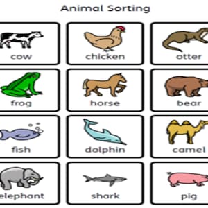 KS1 Science Vocabulary and Activities - Etsy
