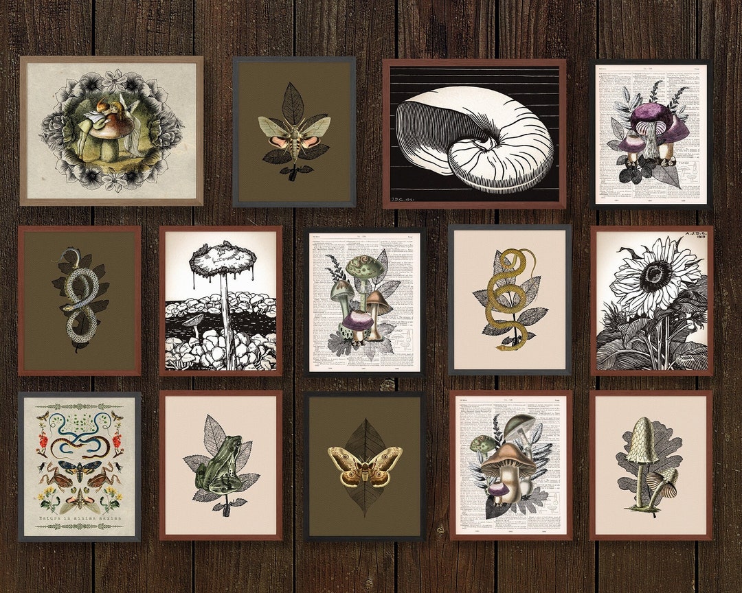 Goblincore Decor Mushroom Aesthetic Mega Bundle Printable Wall Art Set ...