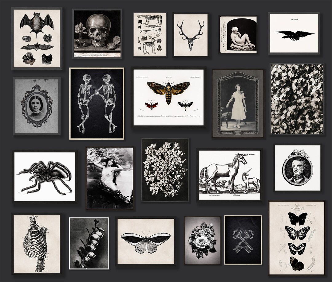Dark Goth Oddities Moody Home Decor Printable Gallery Wall Art Set - Etsy