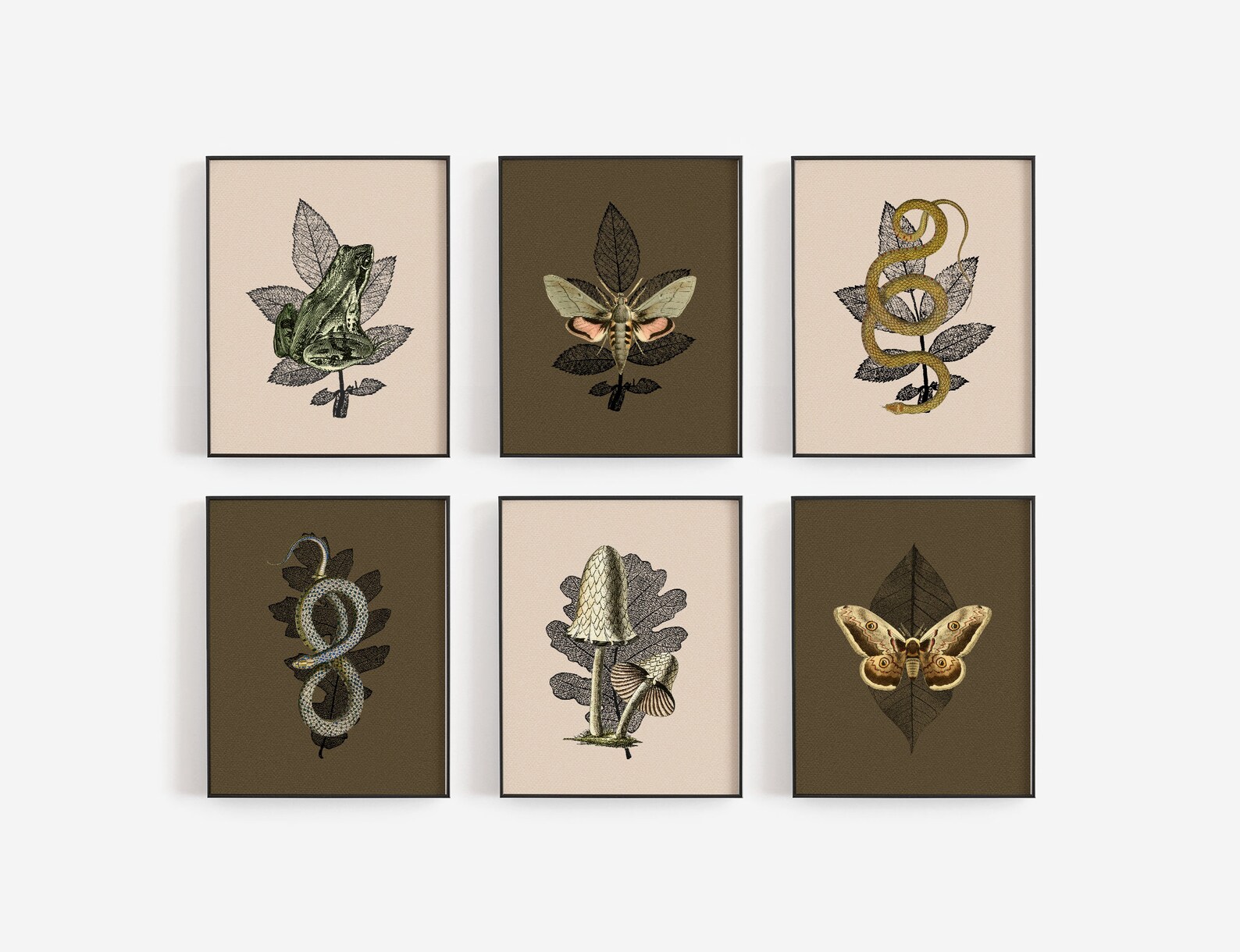 Goblincore Decor Mushroom Aesthetic Mega Bundle Printable Wall | Etsy