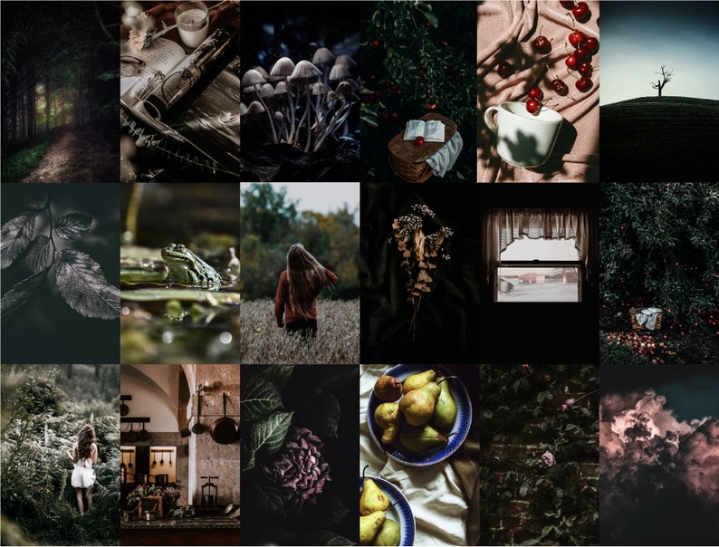 Dark Cottagecore Decor Wall Collage Kit Printable Moody - Etsy