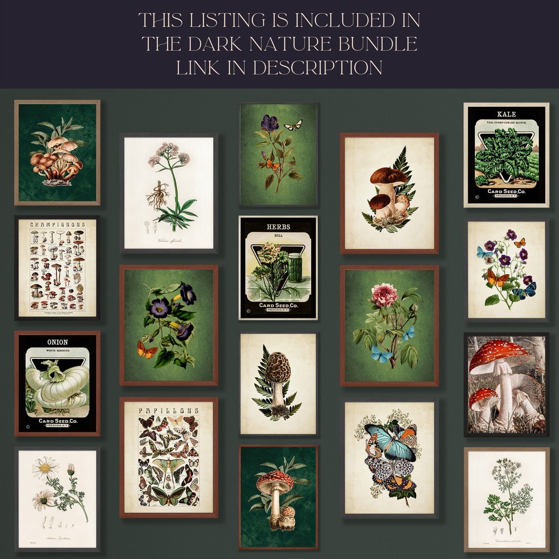 Dark Cottagecore Decor Vintage Butterfly Printable Art Set - Etsy