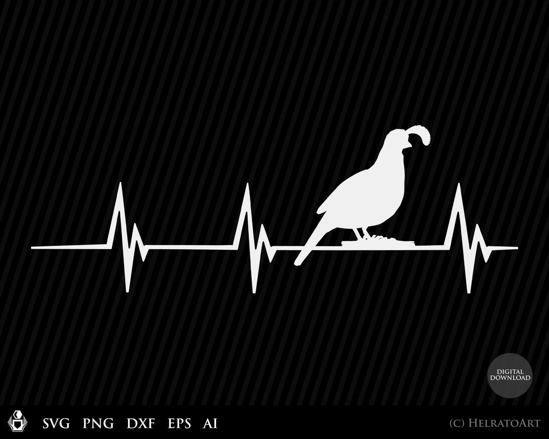 Codorniz SVG, Lifeline Quail Svg, Caza svg, Silueta, Al aire libre svg ...