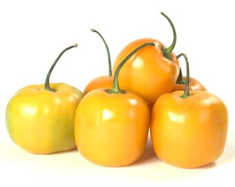 25 Orange Manzano Pepper Seeds - Etsy