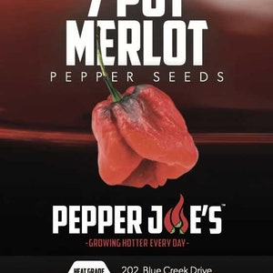 7 Pot Merlot Pepper Seeds - Etsy
