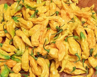 Yellow Datil Sweet Heirloom Pepper Premium Seed Packet - Etsy