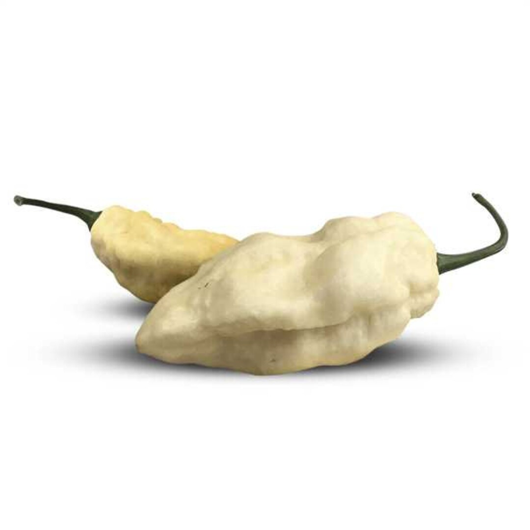 White Ghost (bhut Jolokia) Pepper Seeds - Etsy