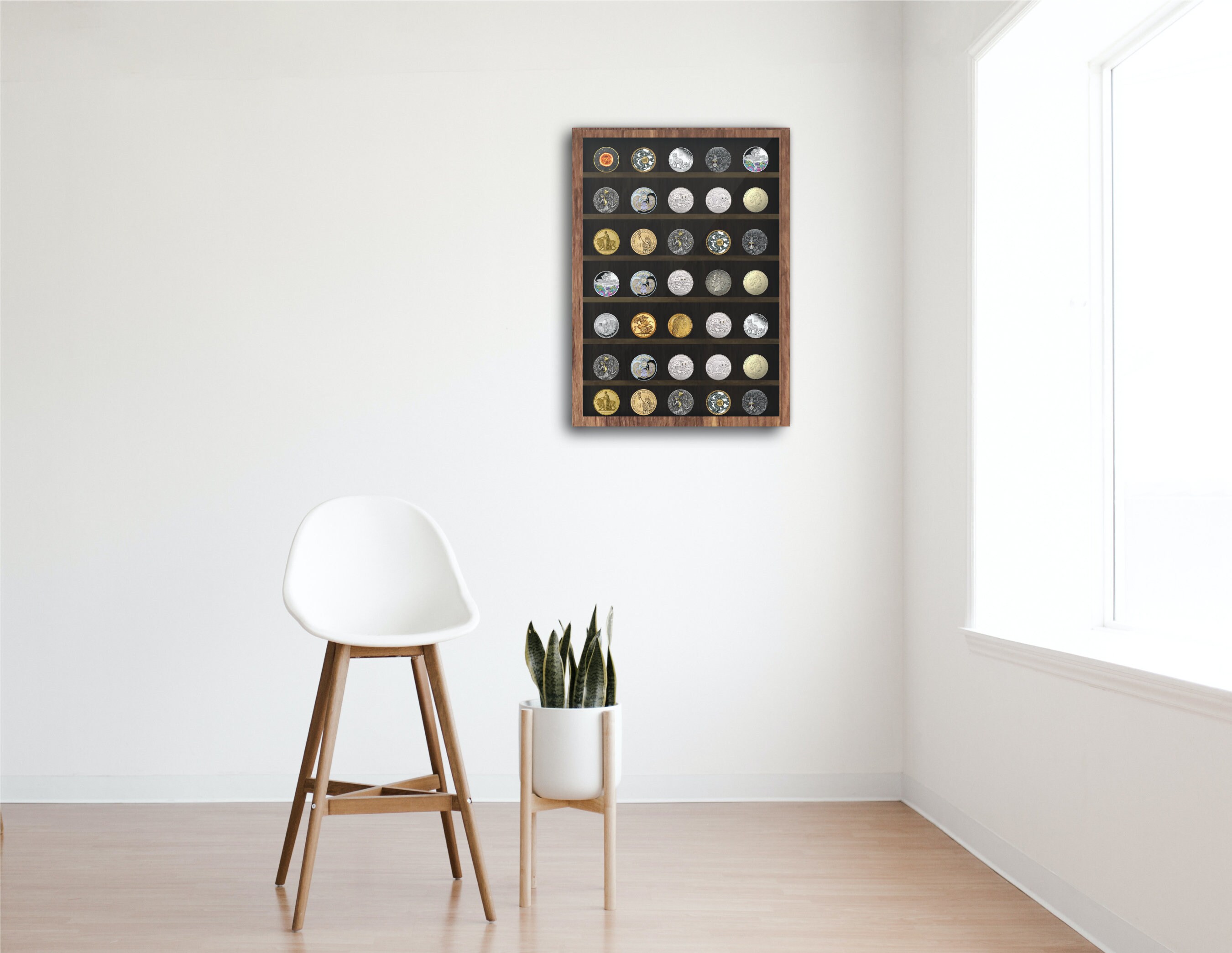 Coin Display Case Coin Display Cabinet Coin Display Stand - Etsy UK