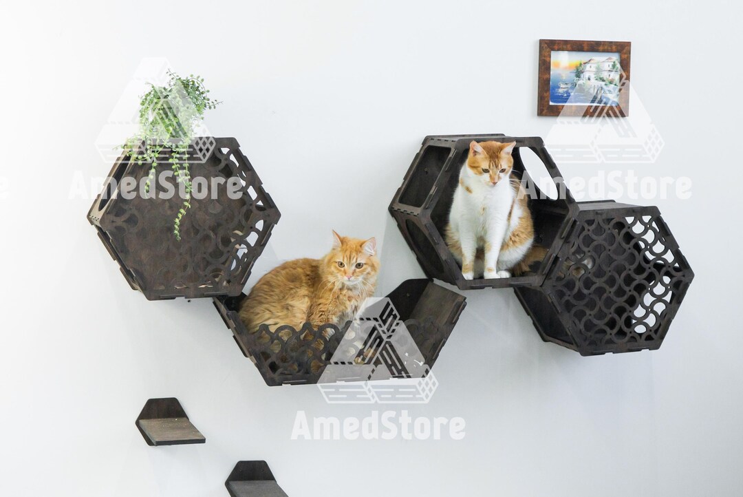 Hexagon Cat Wall Shelves, Cat Furniture Wall, Cat Furniture Set, Cat ...