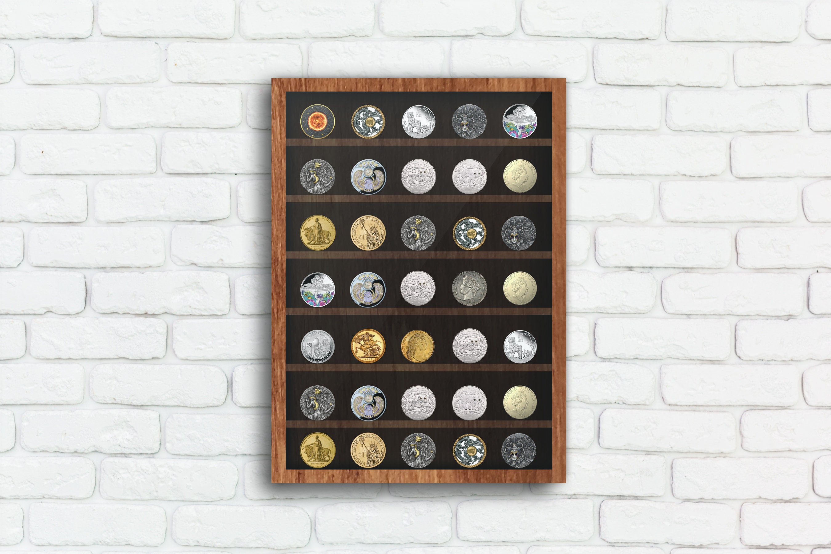 Coin Display Case Coin Display Cabinet Coin Display Stand - Etsy