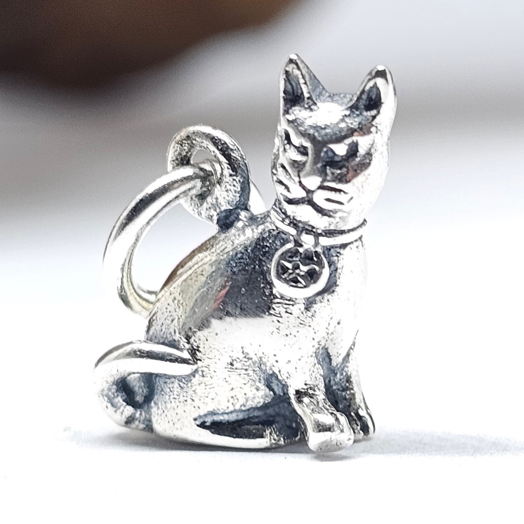 Cat Charm With Pentacle Collar Cute Witches Cat Jewellery Pagan Wiccan ...