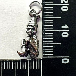 Pixie Leprechaun Imp Charm 925 Sterling Silver Lucky Charm Bracelet ...