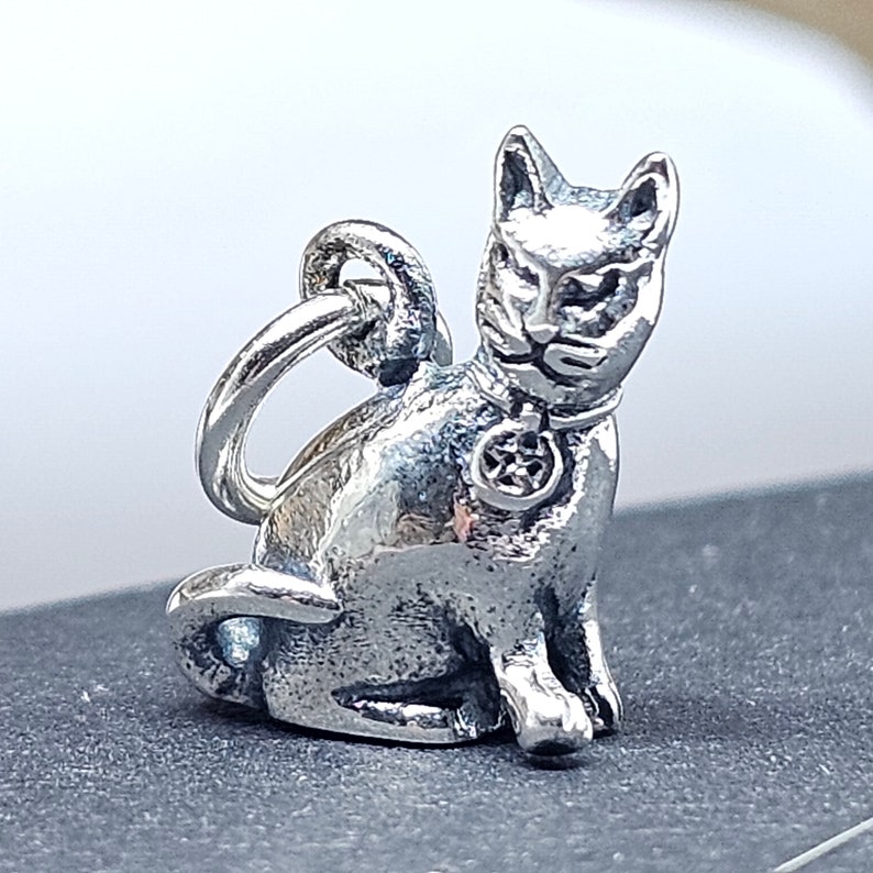 Witches Cat Pentacle Charm 925 Silver Familiar Pendant or Bracelet ...