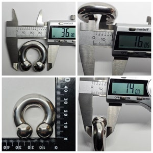 Horseshoe Prince Albert Jewelry Piercing 00g 10mm 14mm Screw Ball CBB ...