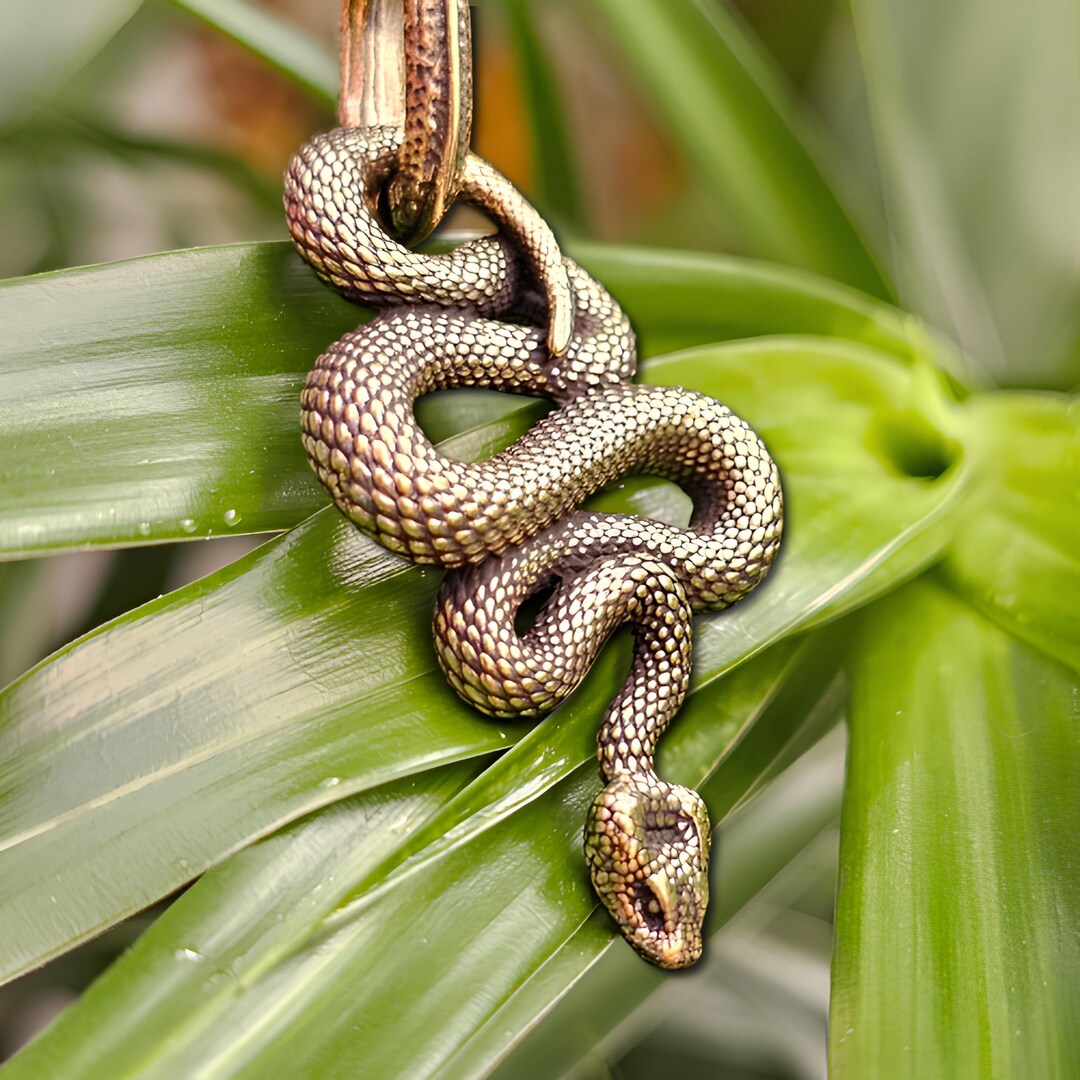 Viper Snake Pendant Necklace Amulet Coiled Venom Snake Protection ...