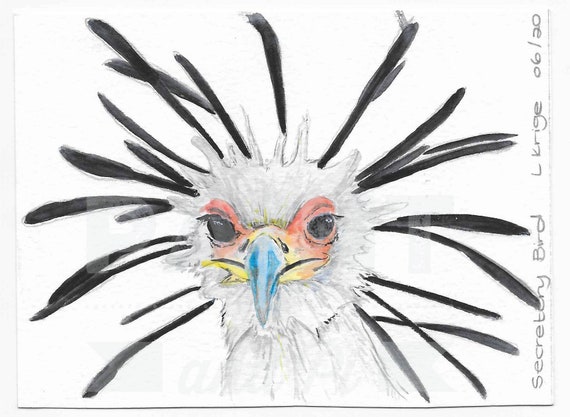 Watercolour Secretary Bird | Etsy