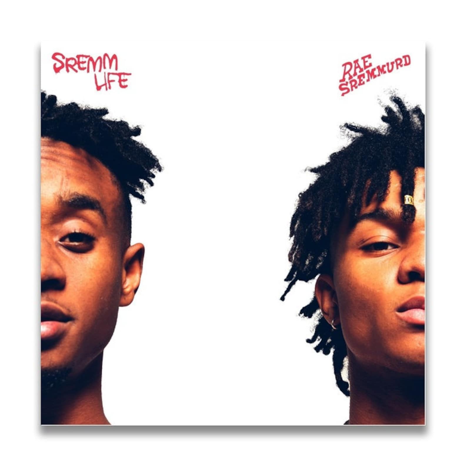 Rae Sremmurd This Could Be Us Music Album cover Canvas | Etsy
