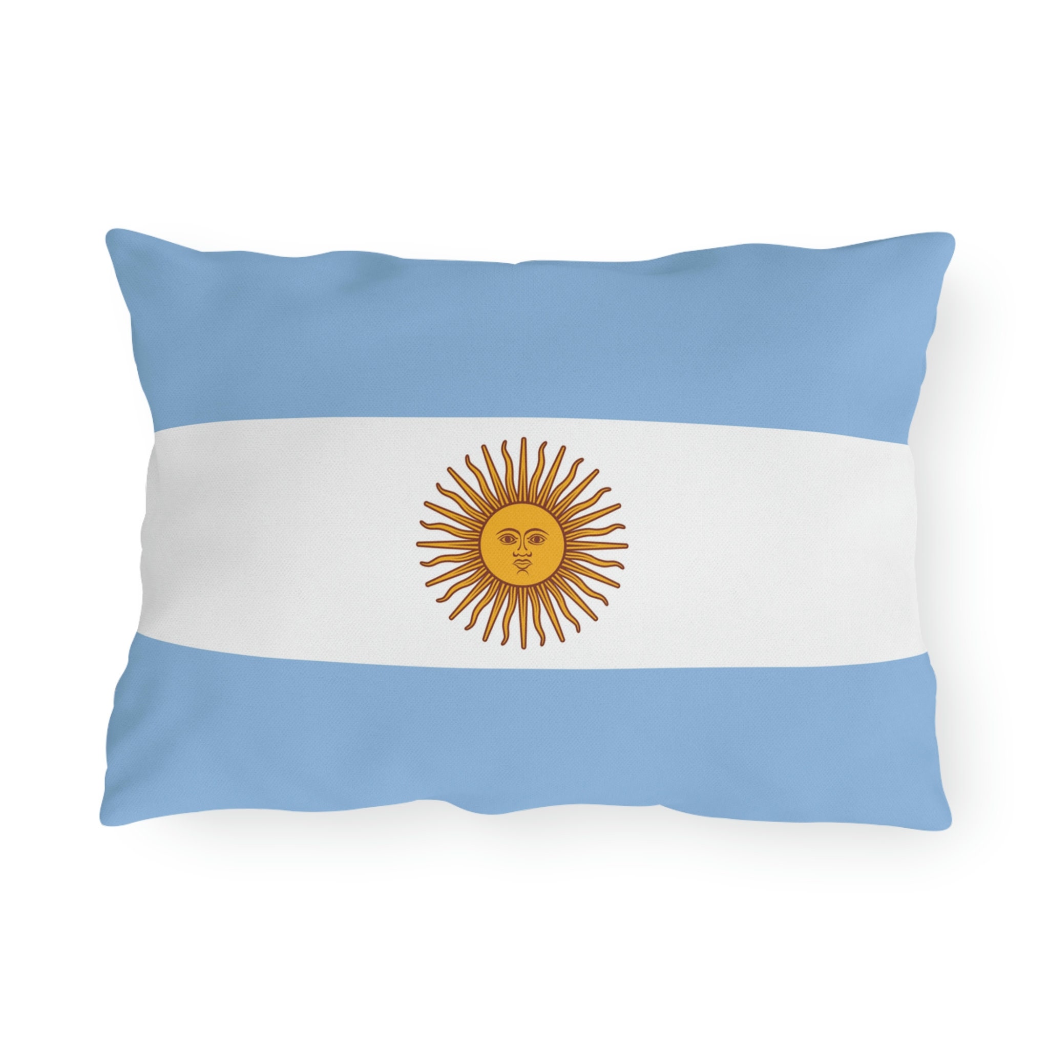 ARGENTINA World Cup Champions 2022, Messi 10, Campeon Mundial, Soccer ...